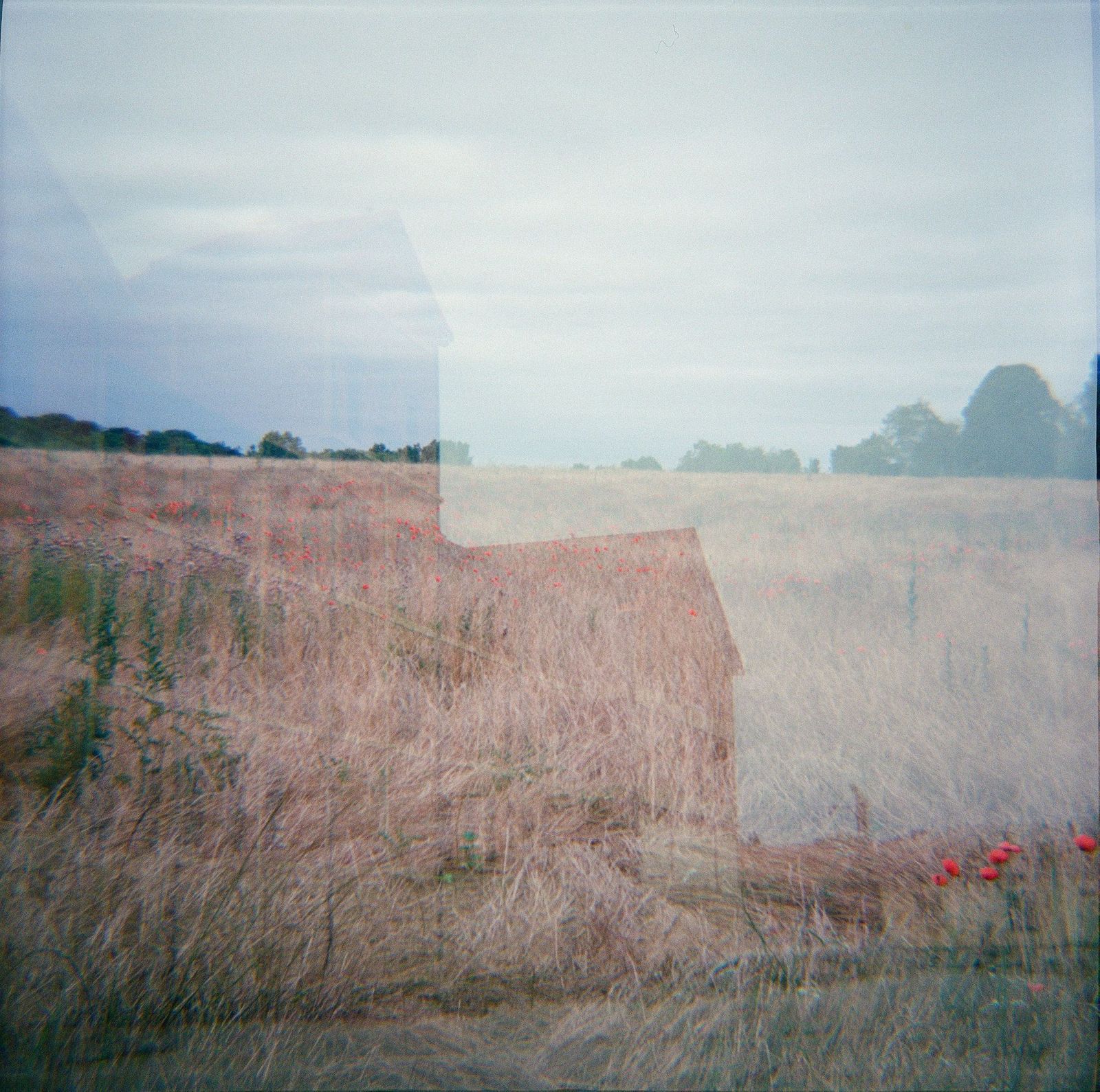 Random pictures · Androw