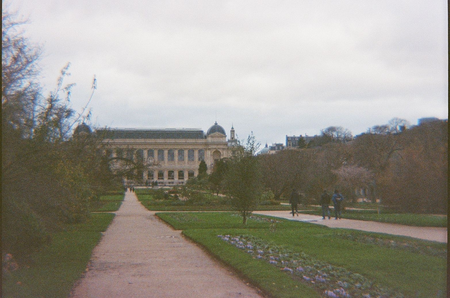 Wandering around · Androw